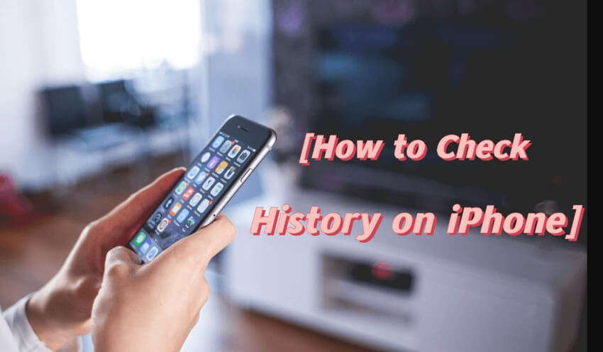 How to Check History on iPhone [2024 Updated]
